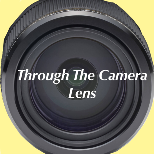 Casting Call Club : Through The Camera Lens