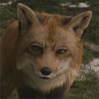 Casting Call Club : The Chronicles of Narnia Audio Drama (ROUND ONE)
