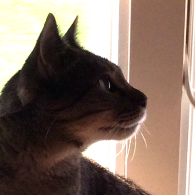 Binx | Casting Call Club