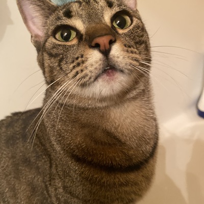 Only1Trickster | Casting Call Club