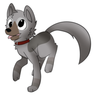 WOLFBOUND BOUND | Casting Call Club