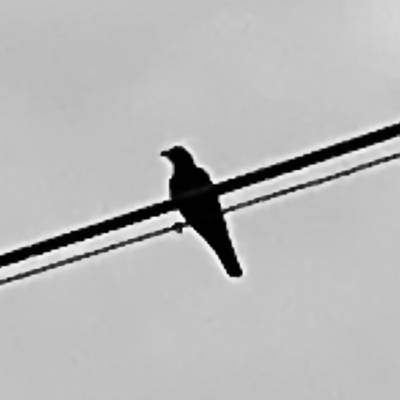 SCP-3333: The Tower | Casting Call Club